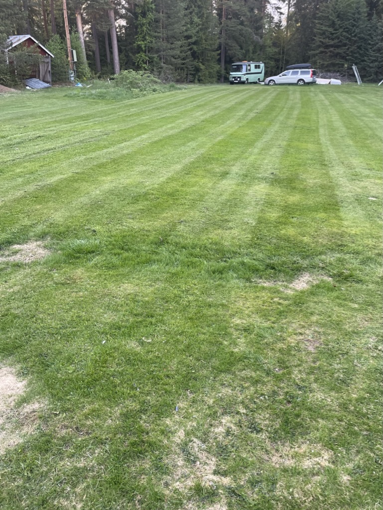 My 100 Days To Offload